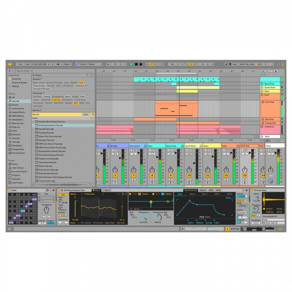 Ableton Live 12 Standard, UPG from Live Lite at Gear4music