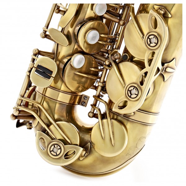 Trevor James Signature Custom Alto Saxophone, RAW XS - Ex Demo at ...