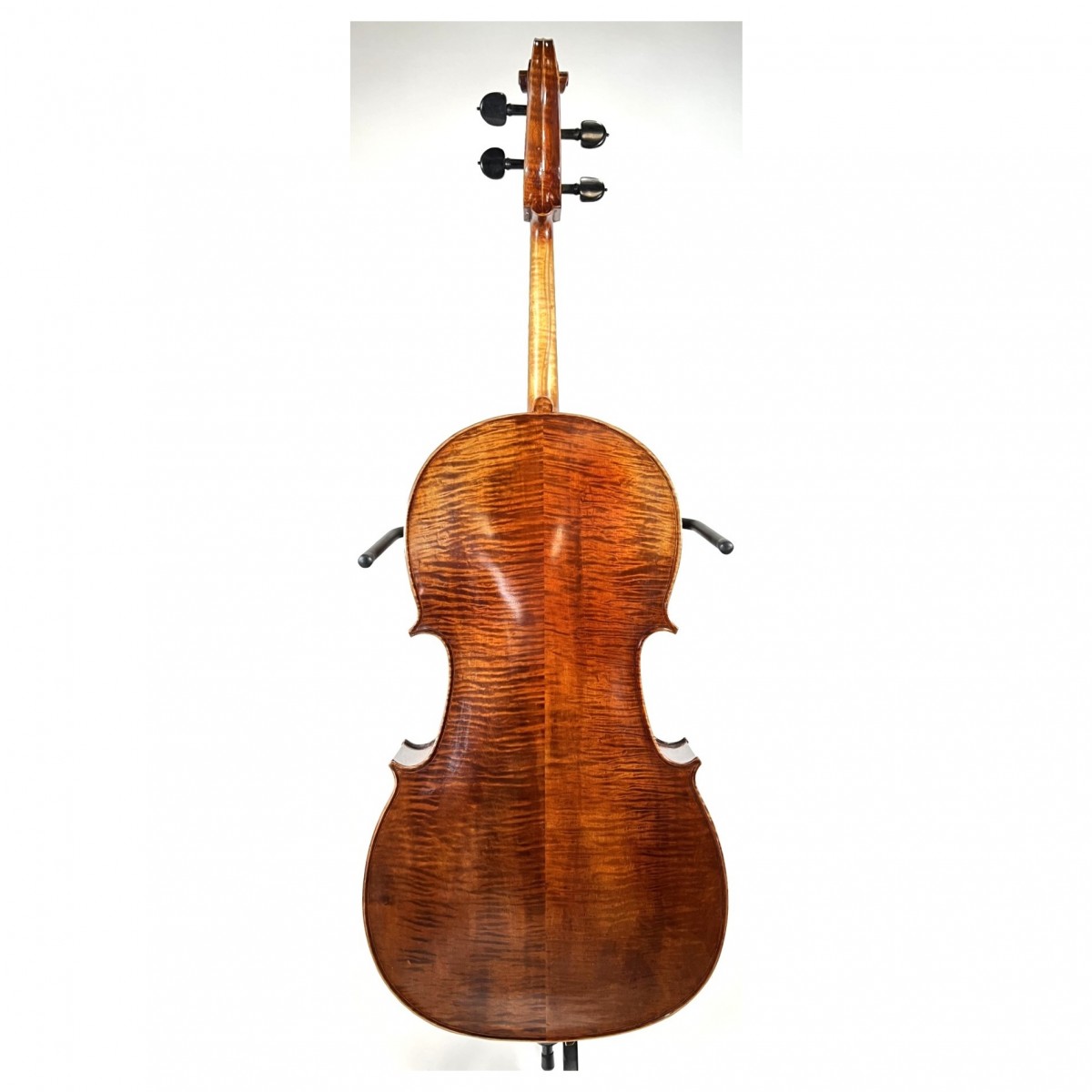 Stentor Elysia Cello, Full Size, Instrument Only - Ex Demo at Gear4music