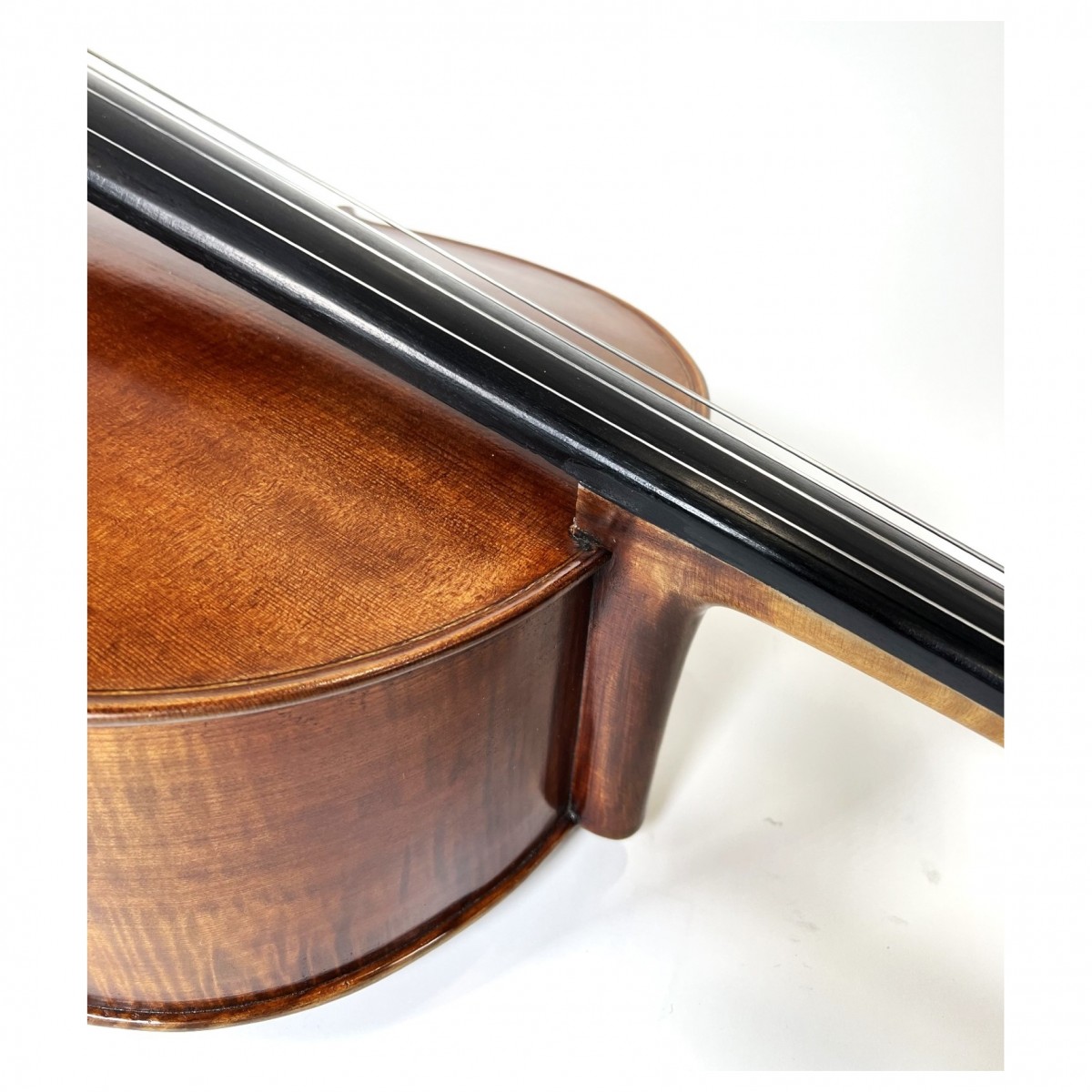 Stentor Elysia Cello, Full Size, Instrument Only - Ex Demo at Gear4music