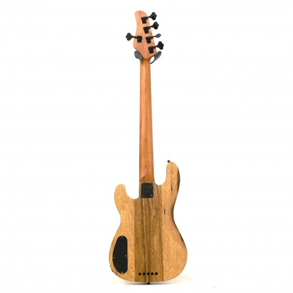 Schecter Model-T 5 Exotic Bass, Black Limba - Secondhand at Gear4music