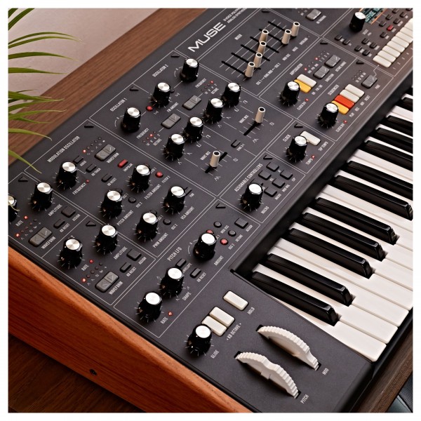 Moog Muse 8-Voice Polyphonic Analog Synthesizer at Gear4music