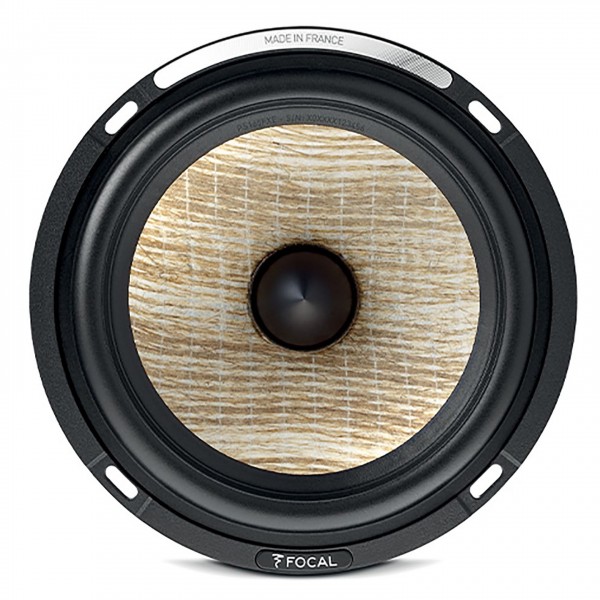 Focal Sub 1000F 12" Subwoofer Speaker, Black at AV.com