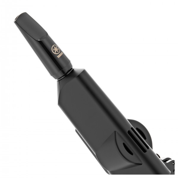 Yamaha YDS 120 Digital Wind Synthesizer at Gear4music