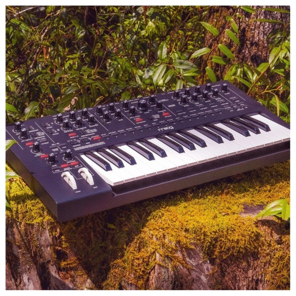 Moog Messenger Monophonic Analog Synthesizer at Gear4music