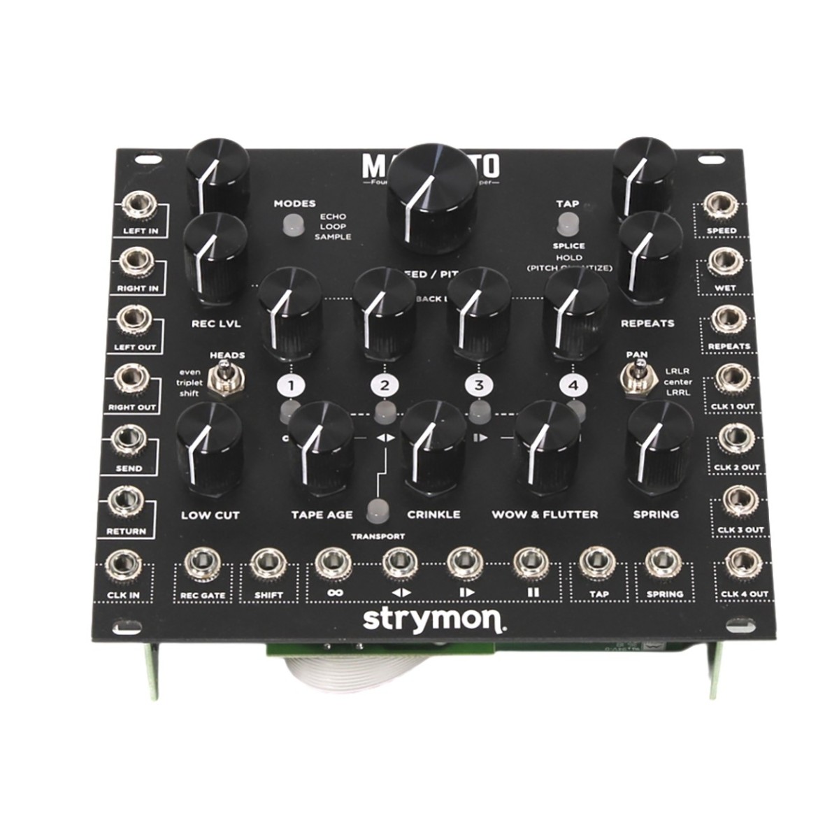 Strymon Magneto Eco y Looper dTape de cuatro cabezales (28HP) | Gear4music