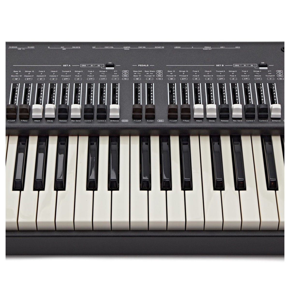 Viscount Legend ONE 61 Stage Keyboard at Gear4music
