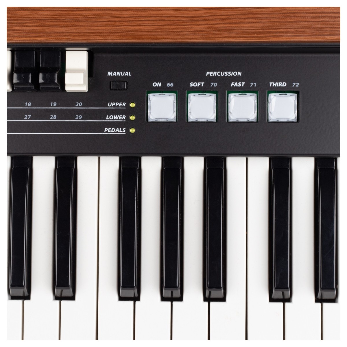 Crumar DK61 61-Key Waterfall MIDI Controller for Organ Players at ...