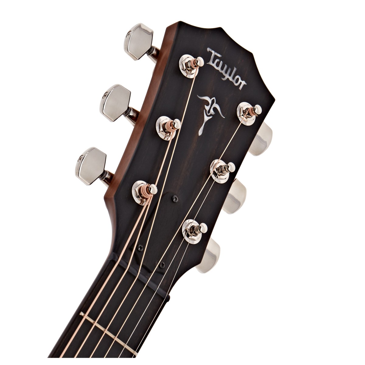 Taylor 514ce Electro Acoustic, Urban Iron Bark | Gear4music