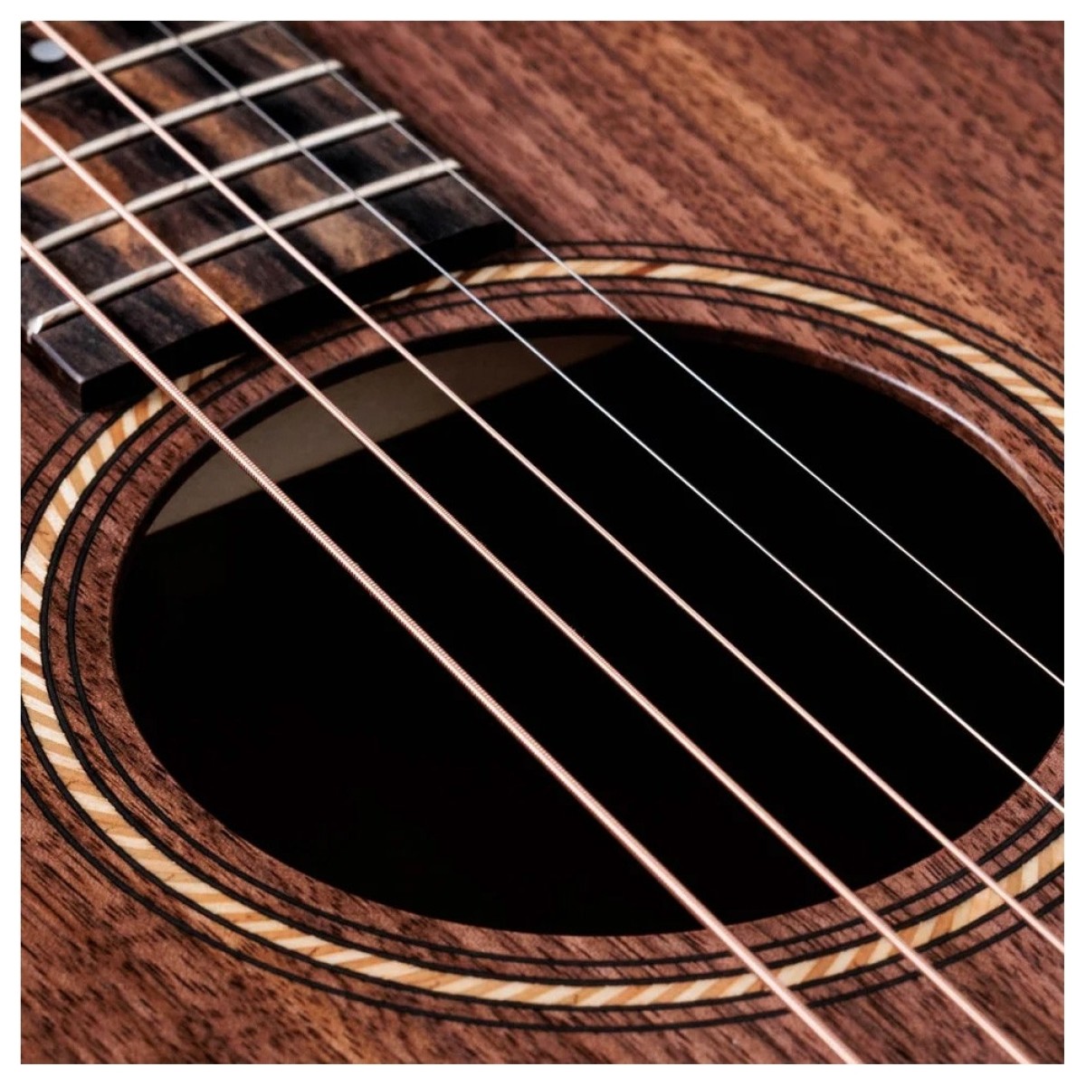 Taylor Jacob Collier Academy 22e 5-String, Walnut at Gear4music