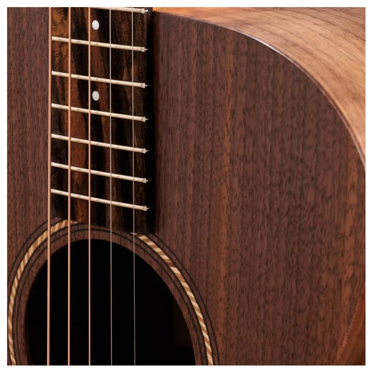 Taylor Jacob Collier Academy 22e 5-String, Walnut at Gear4music