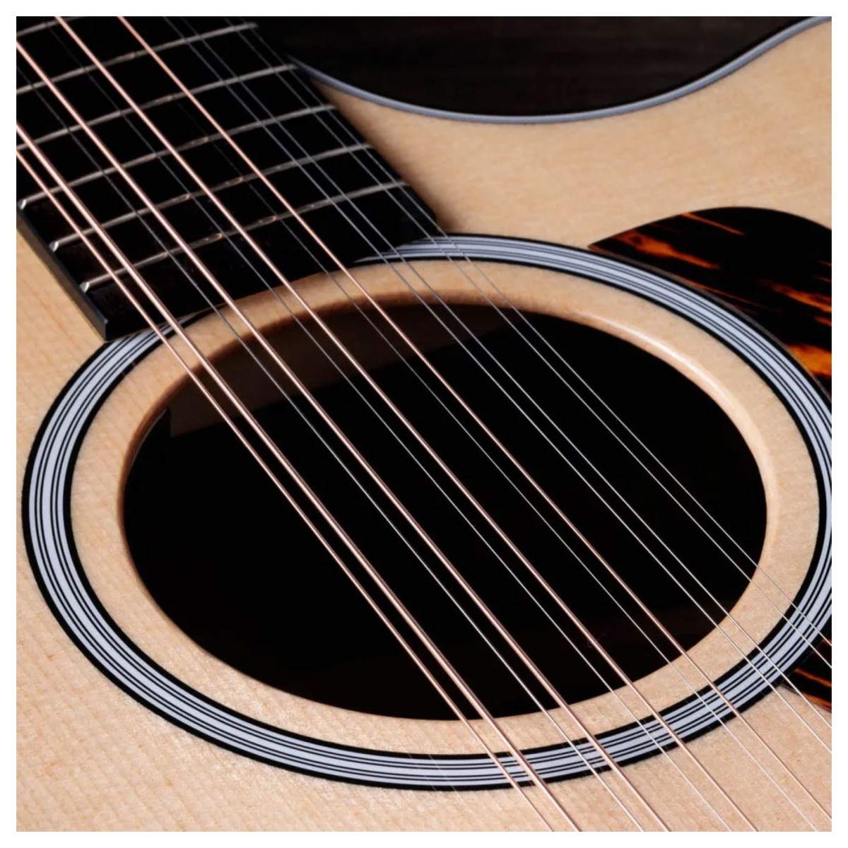 Taylor 454ce Next Generation | Gear4music