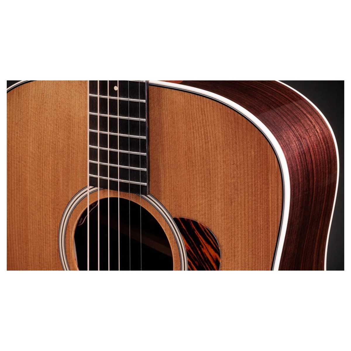 Taylor Gold Label 710e | Gear4music