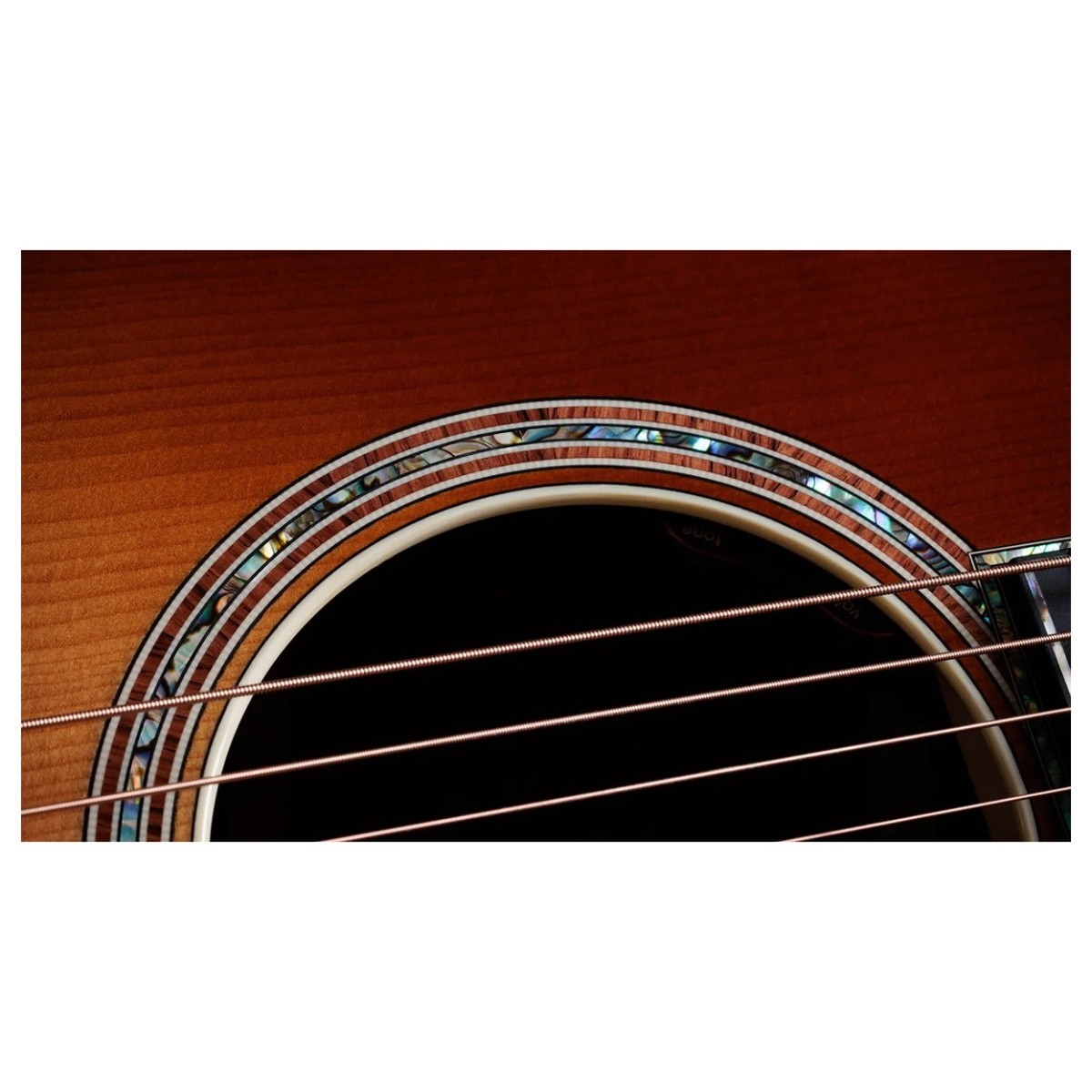 Taylor Gold Label 914e, Sunburst | Gear4music