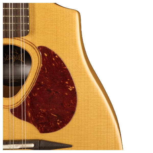 Seagull Guitars S8 Mandolin Natural SG at Gear4music