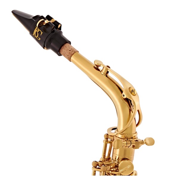 Trevor James SR Alto Saxophone, Gold Lacquer at Gear4music Trevor James SR Alto Saxophone, Gold Lacquer at Gear4music