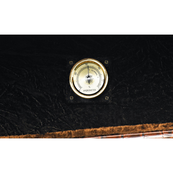 Ortega OGAC-30BR Acoustic Guitar Case, Dark Brown, Grand Auditorium at ...