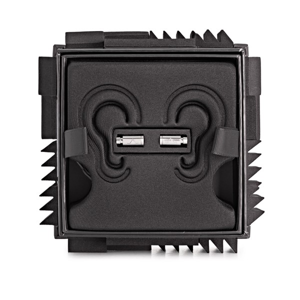 DISC Flare Audio FLARES PRO 2 Earphones at Gear4music