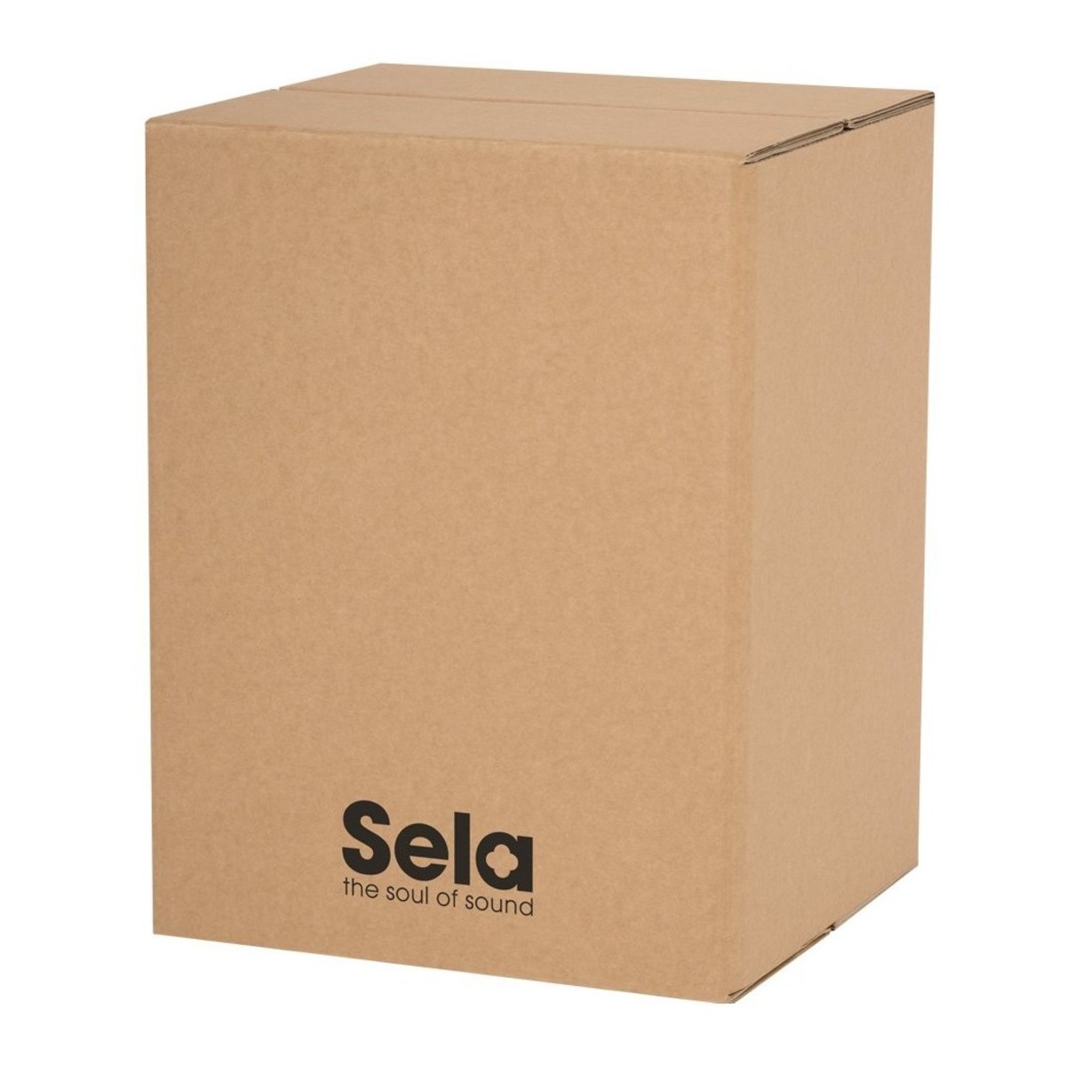 DISC Sela Carton Cajon Starter Pack at Gear4music