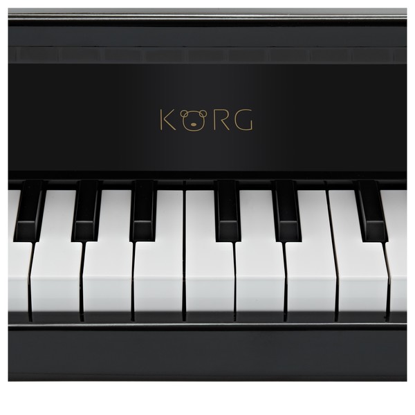 Korg tinyPiano 25 Mini Key Digital Toy Piano, Gloss Black at Gear4music