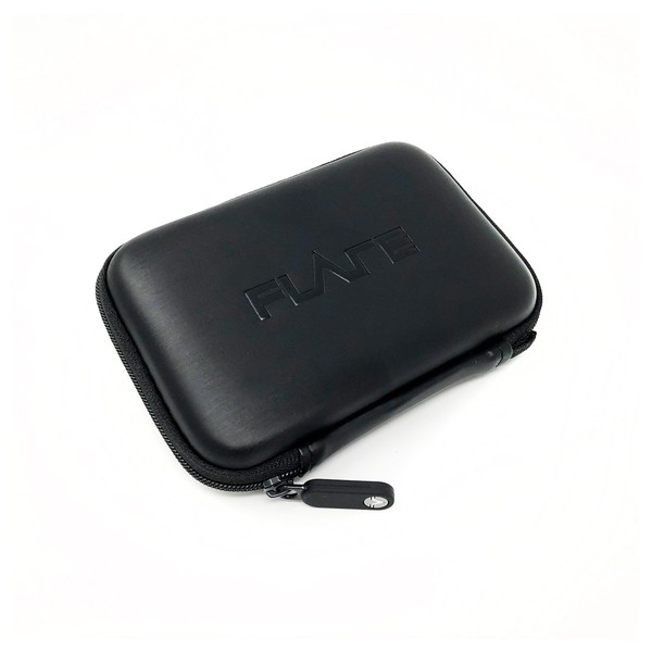 Flare Audio Hard Case, Large at Gear4music