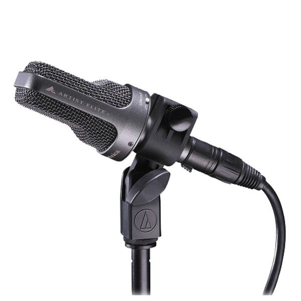 Audio-Technica AE3000 Cardioid Condenser Instrument Microphone at ...