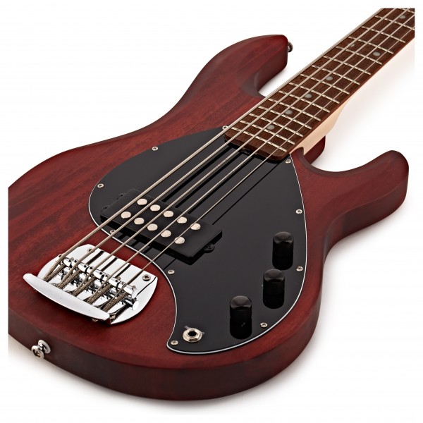 Sterling Stingray Ray5 Bass, Walnut Satin at Gear4music