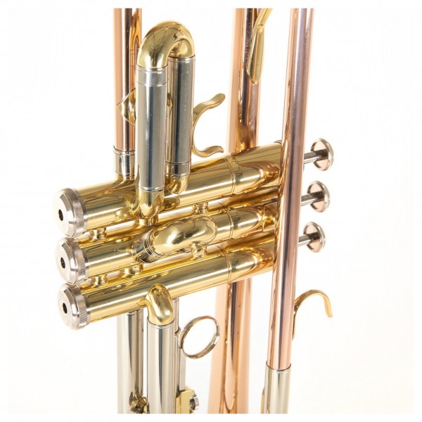 Roy Benson TR202 Trumpet, Gold Brass Bell at Gear4music