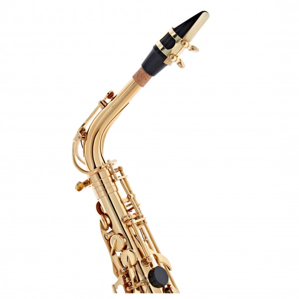 Grassi SAL700 School Series Alto Saxophone with BG Accessories, Lacquer ...