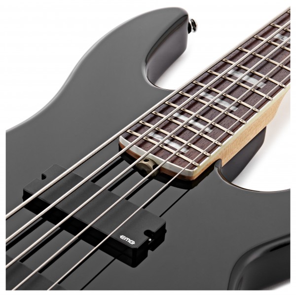 ESP LTD Surveyor 5, Black at Gear4music